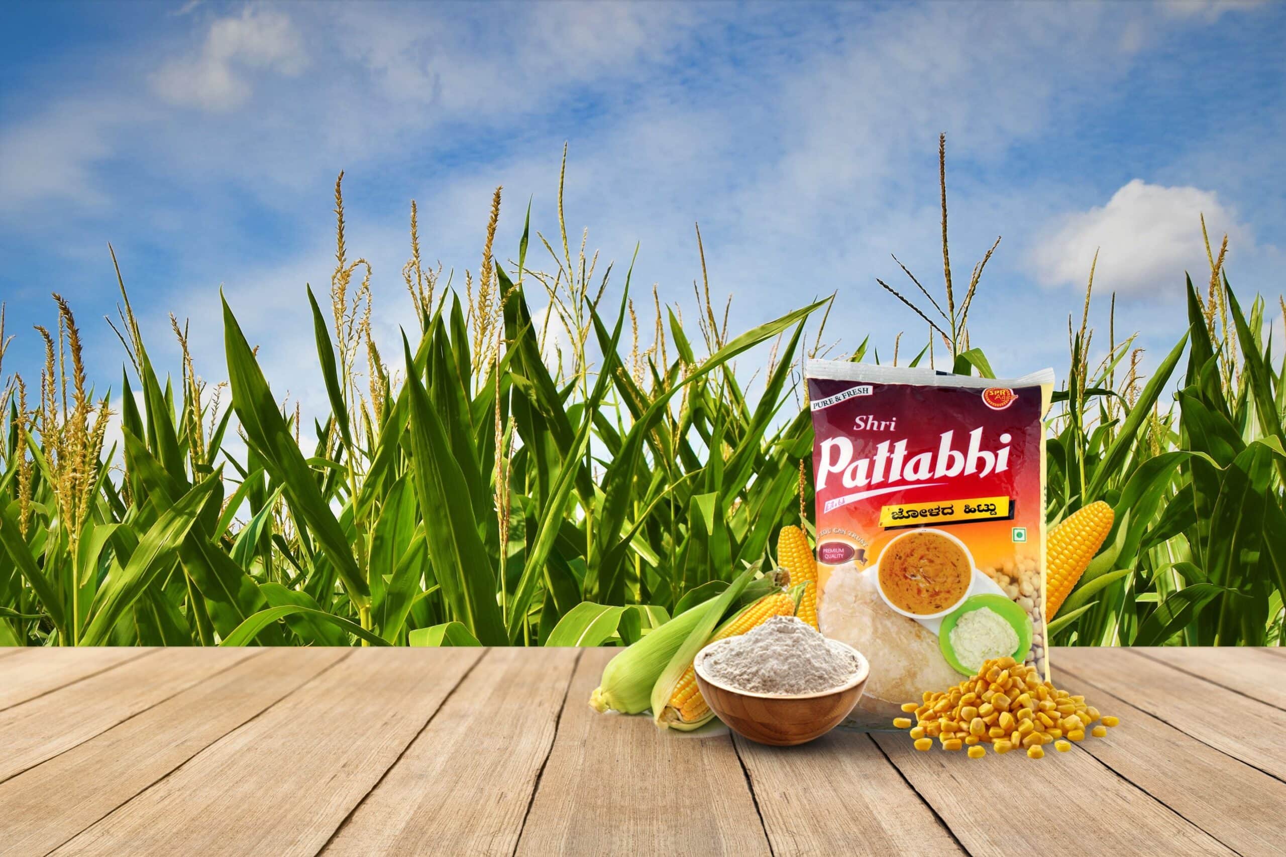 HOME - Shri Pattabhi